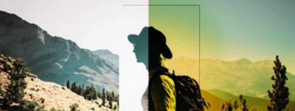 Semantic Segmentation vs. Instance Segmentation - Which Better?