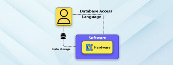 Components of Database Management System with Application