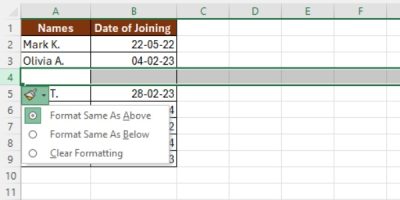3 Excel Shortcuts for Insert Row - Explained!
