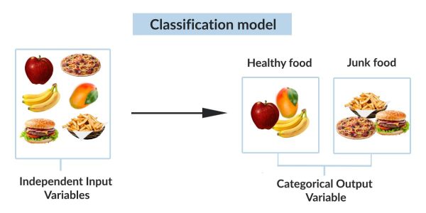 How Data for Classification Machine Learning Works